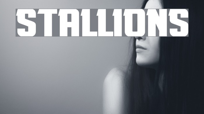 Stallions Font - FFonts.net