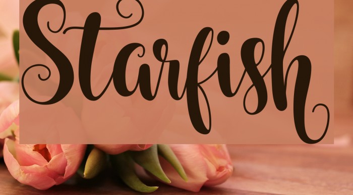 Starfish Font - FFonts.net