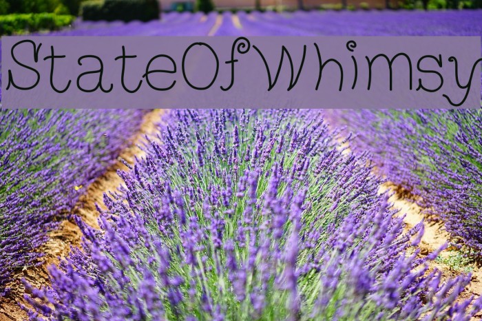 StateOfWhimsy Font - FFonts.net