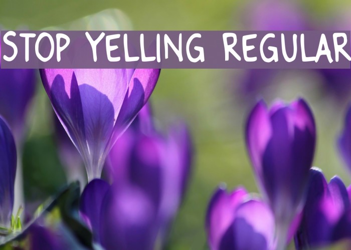 Stop Yelling Regular Font - FFonts.net