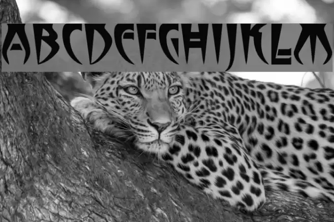 Stormbringer Fuente - FFonts.net