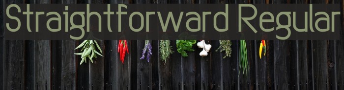 Straightforward Regular Font - FFonts.net