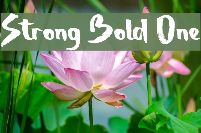 Strong Bold One Font - FFonts.net