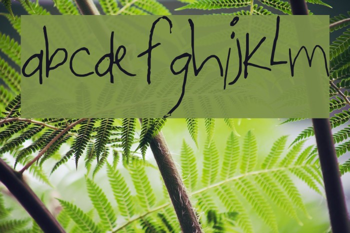 stringbean Font - FFonts.net