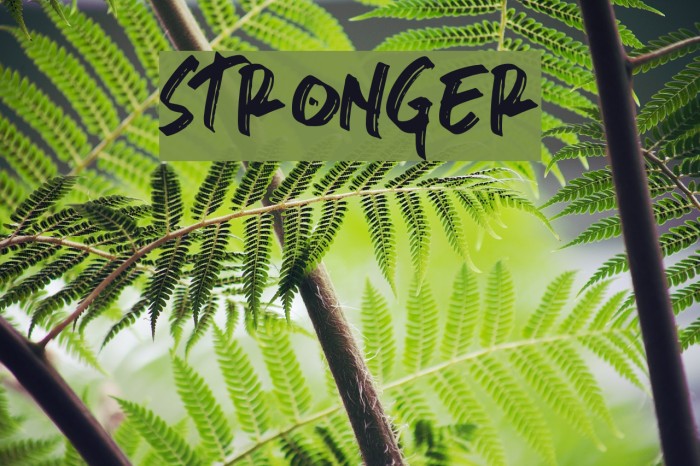 stronger Font - FFonts.net