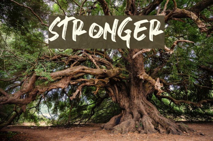stronger Font - FFonts.net