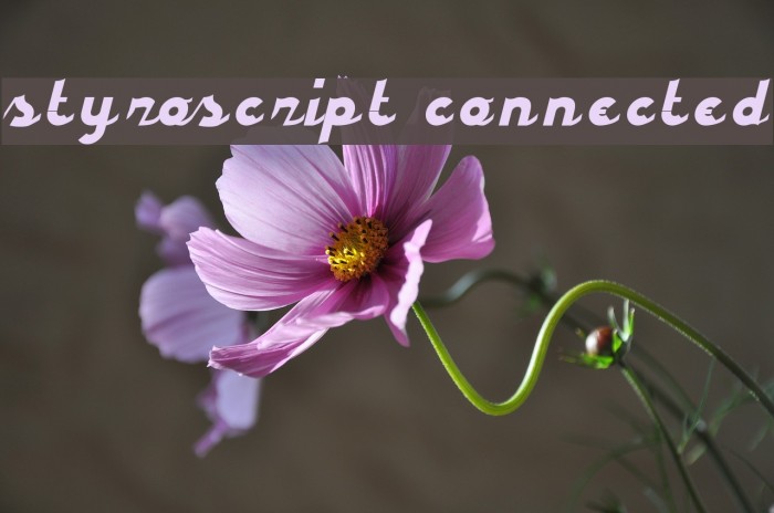 styroscript connected Font - FFonts.net