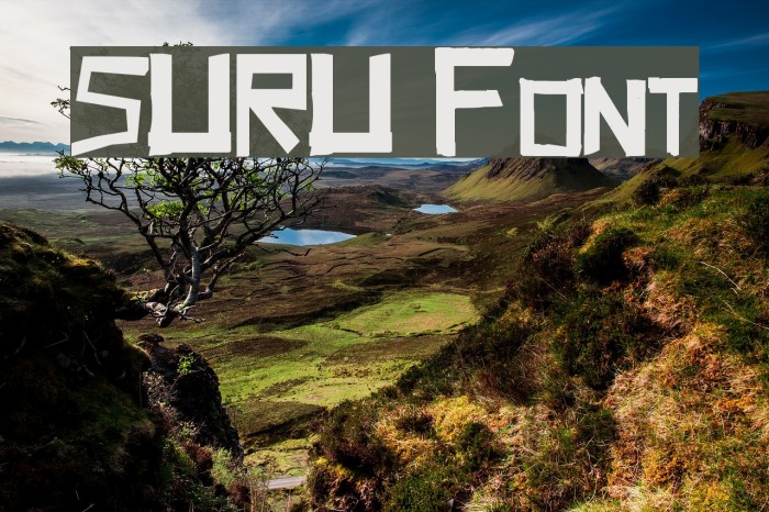 SURU Font - FFonts.net
