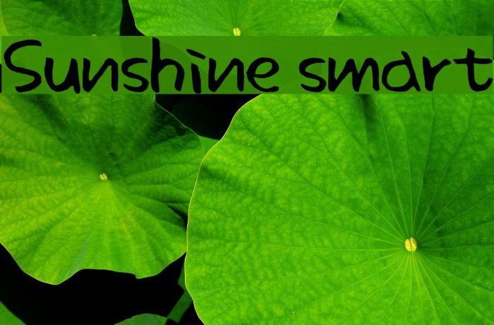 Sunshine smart Font - FFonts.net