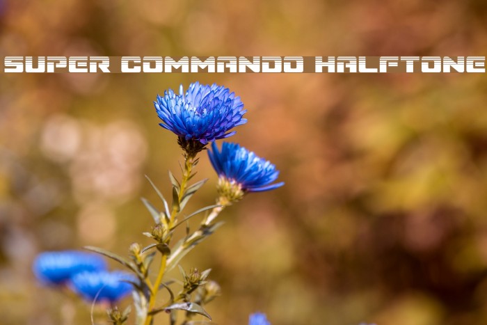 Super Commando Halftone Font - FFonts.net
