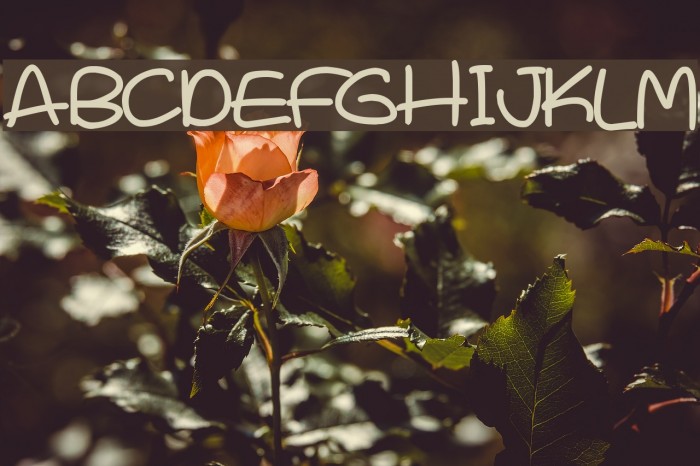 Super Sweet Font - FFonts.net