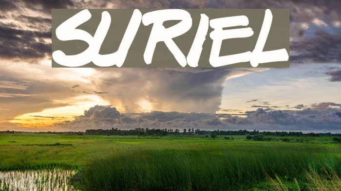 Suriel Font - FFonts.net