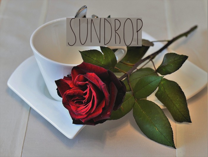 sundrop Font - FFonts.net