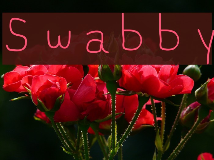Swabby Font - FFonts.net