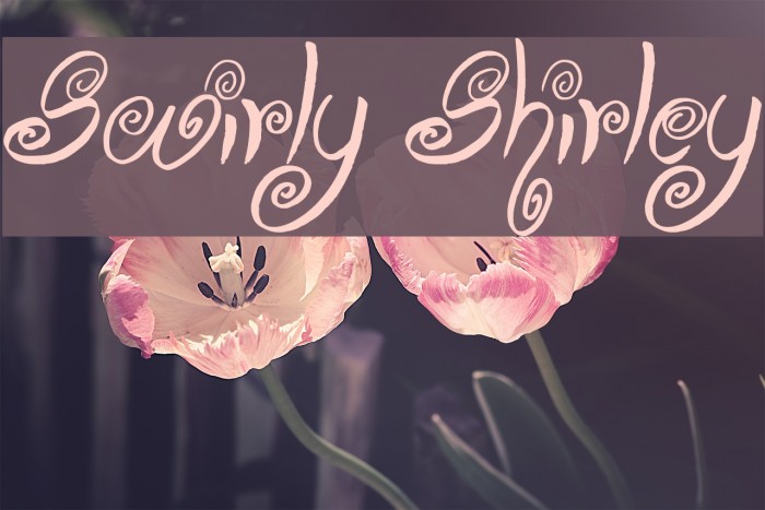Swirly Shirley Font - FFonts.net