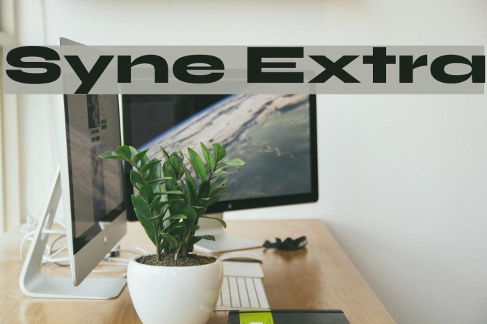 Syne Extra Font - FFonts.net