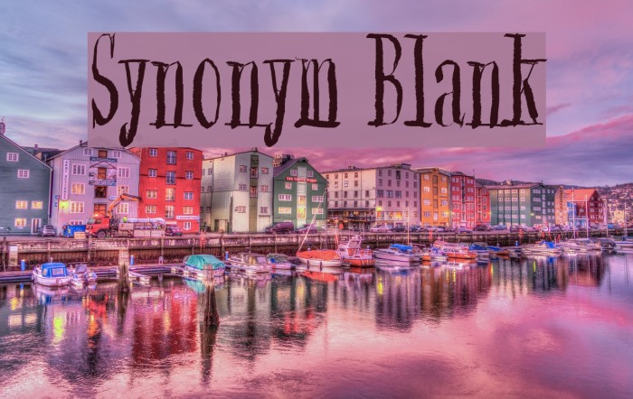 Synonym Blank Font - FFonts.net