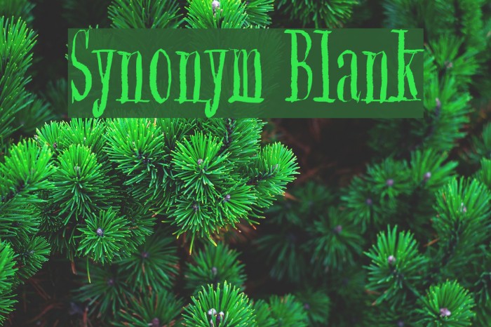 Synonym Blank Font - FFonts.net