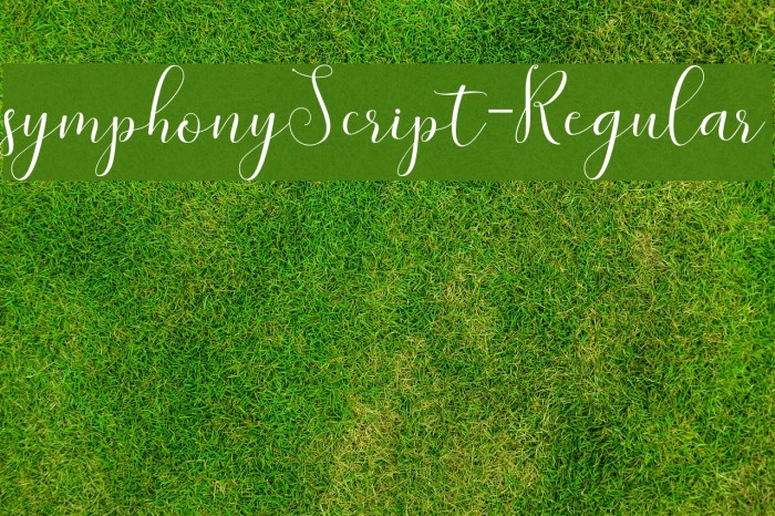 symphonyScript-Regular Font - FFonts.net