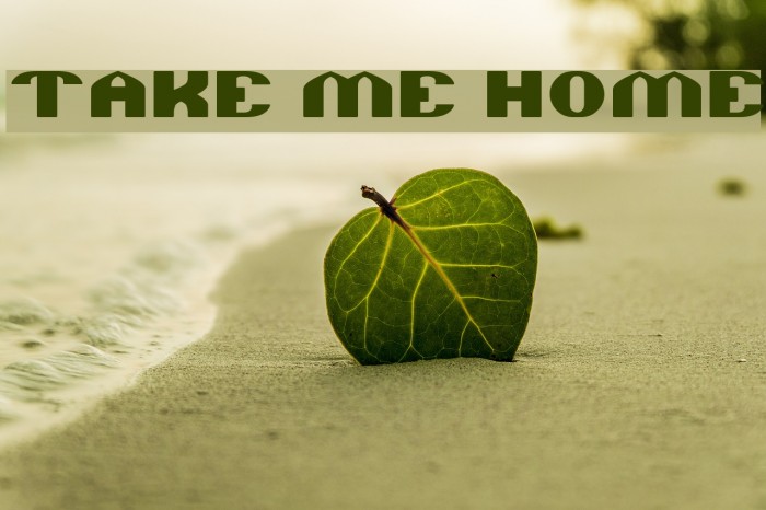 TAKE ME HOME Font - FFonts.net