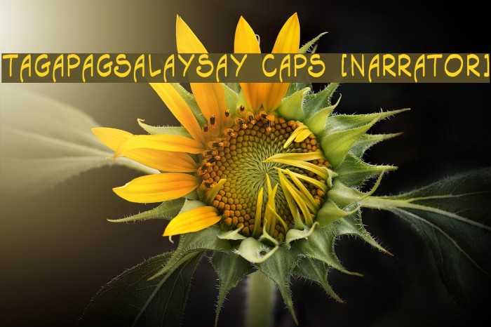 Tagapagsalaysay Caps [Narrator] Font - FFonts.net