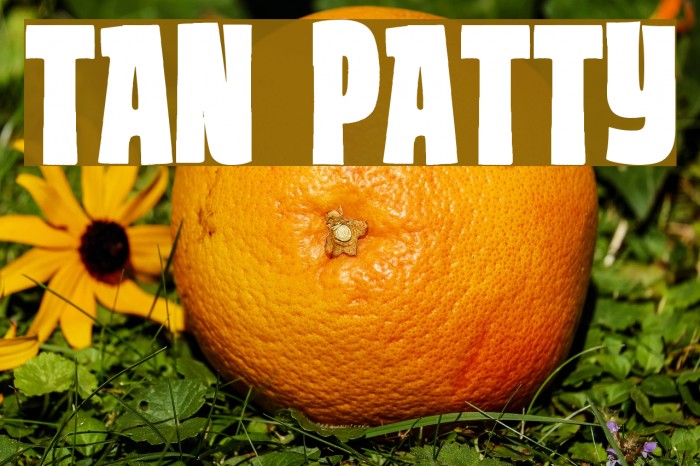 Tan Patty Font - FFonts.net