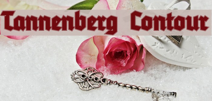 Tannenberg Contour Font - FFonts.net