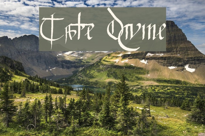 Tate Divine Font - FFonts.net