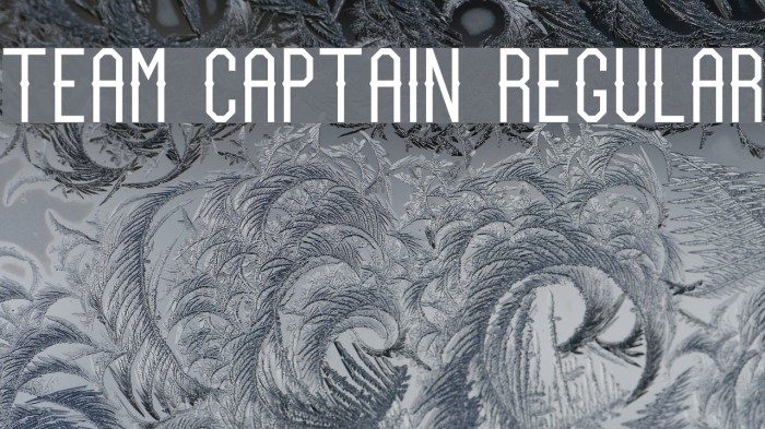 Team Captain Regular Font - FFonts.net