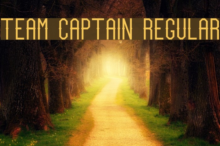Team Captain Regular Font - FFonts.net