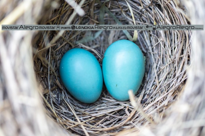 Telefonica Regular Font - FFonts.net