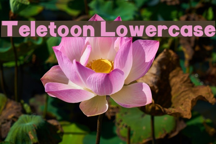 Teletoon Lowercase Font - FFonts.net