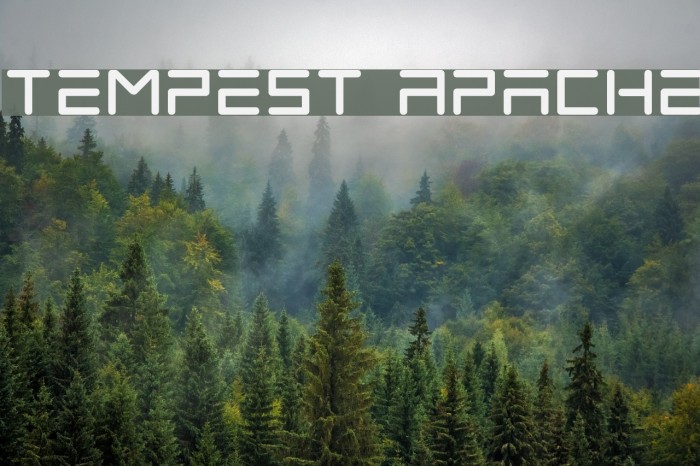 Tempest Apache Font - FFonts.net