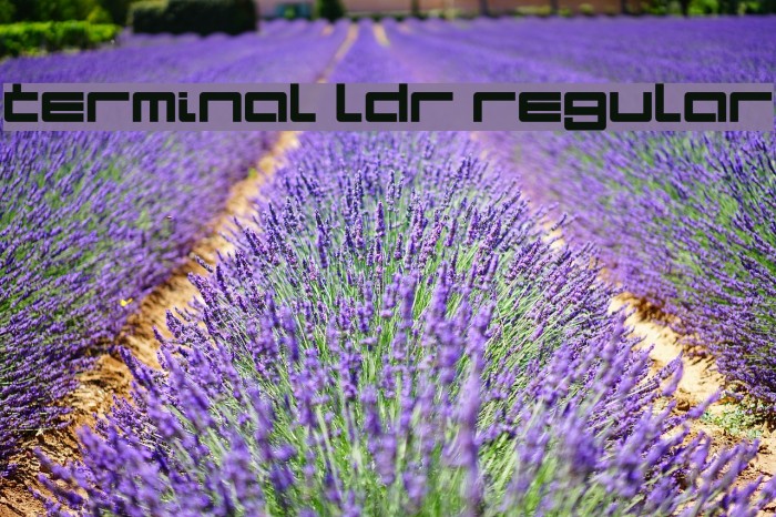 Terminal LDR Regular Font - FFonts.net