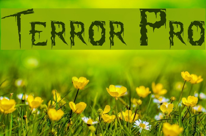 Terror Pro Font - FFonts.net
