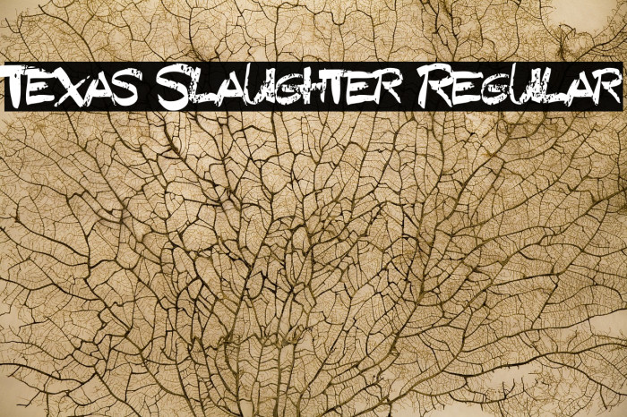 Texas Slaughter Regular Font - FFonts.net