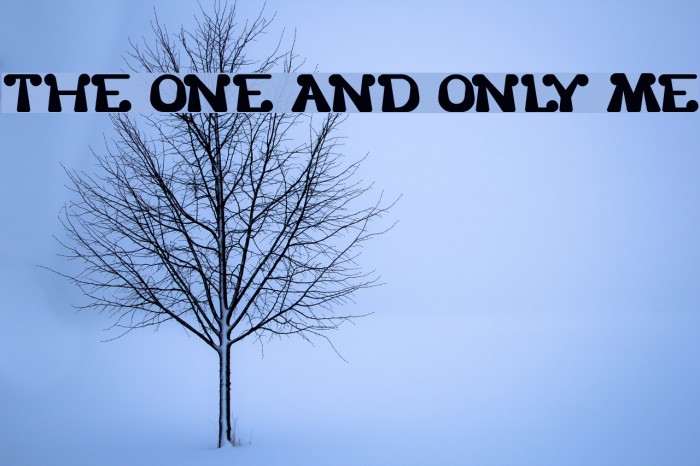 THE ONE AND ONLY ME Font - FFonts.net
