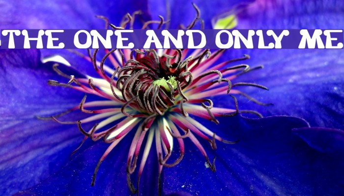 THE ONE AND ONLY ME Font - FFonts.net