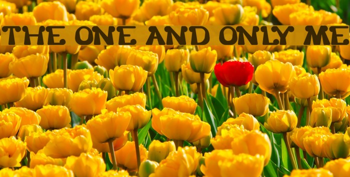THE ONE AND ONLY ME Font - FFonts.net