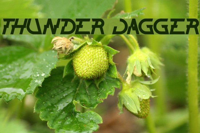 THUNDER JAGGER Font - FFonts.net