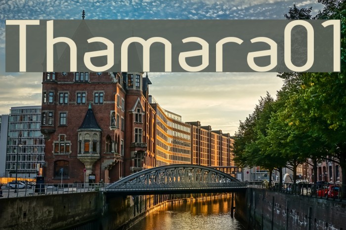 Thamara01 Font - FFonts.net