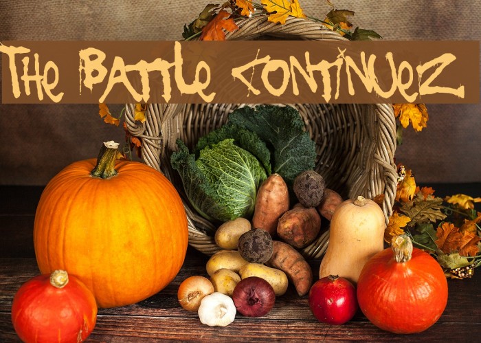 The Battle Continuez Font - FFonts.net