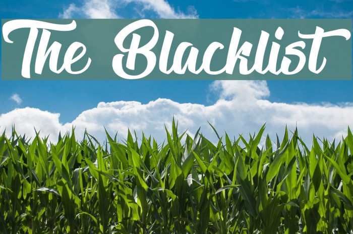 The Blacklist Font - FFonts.net