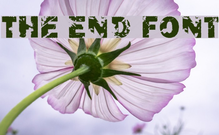 The End Font Font - FFonts.net