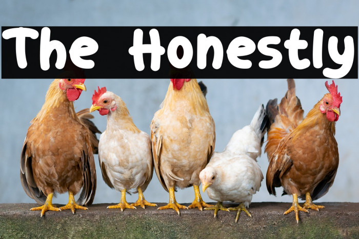 The Honestly Font - FFonts.net