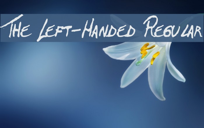 The Left-Handed Regular Font - FFonts.net