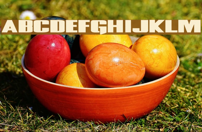 The Meg Font - FFonts.net