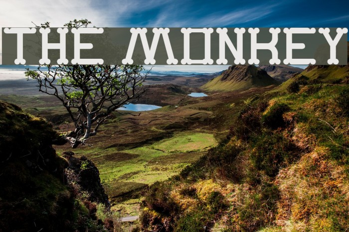 The Monkey Font - FFonts.net