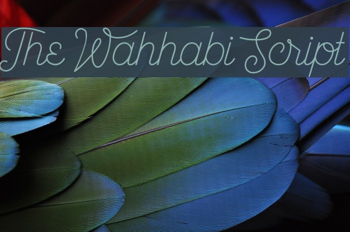 The Wahhabi Script Font - FFonts.net