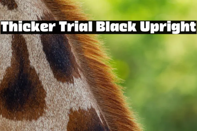 Thicker Trial Black Upright Fuente - FFonts.net